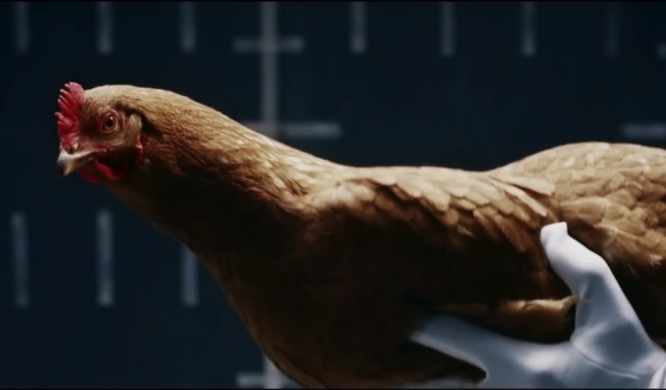 Jaguar Responds To Mercedes Benz With Their Own Chicken Commercial - My ...